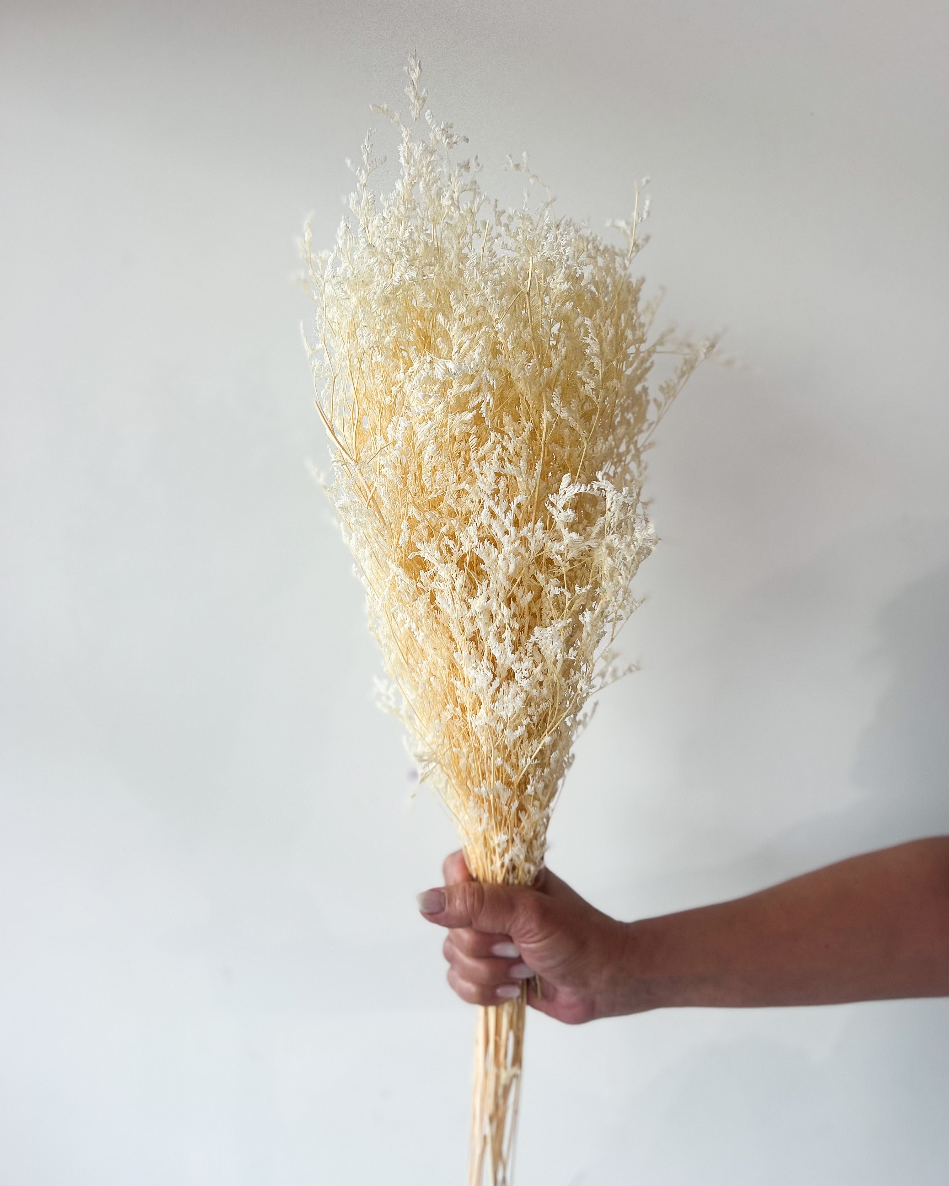 PRESERVED MISTY | IVORY – The Palmier