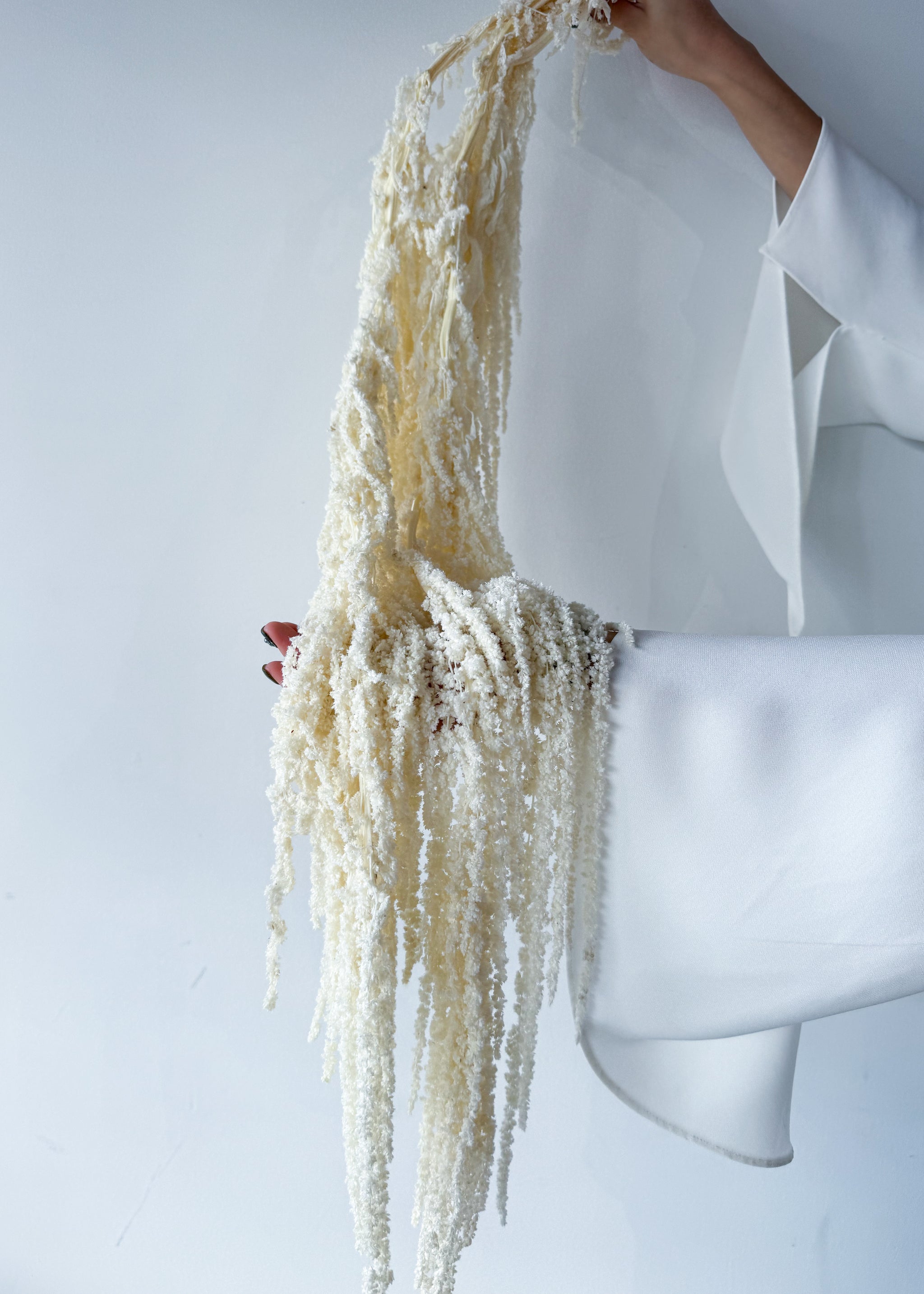 PRESERVED AMARANTHUS | IVORY WHITE – The Palmier