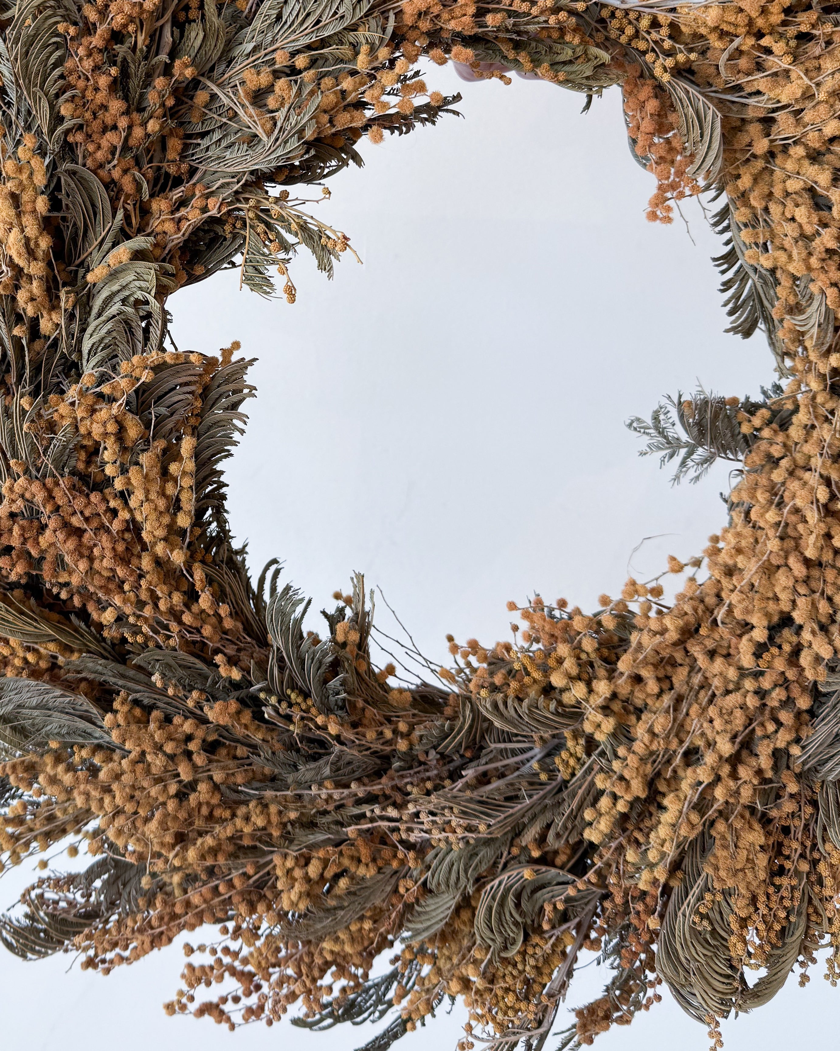 DRIED ACACIA CHRISTMAS WREATH – The Palmier