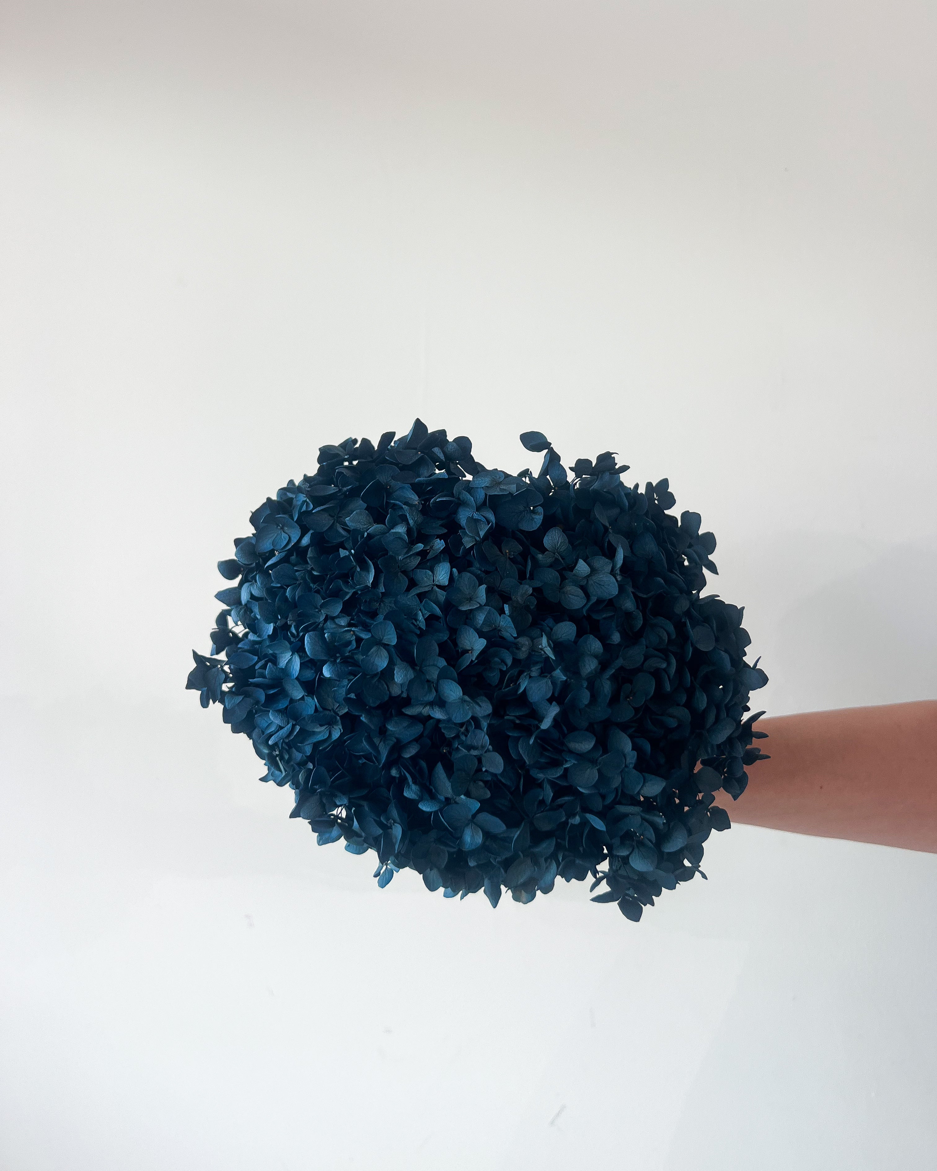 PRESERVED HYDRANGEA STEM | NAVY | SMALL-LEAF – The Palmier