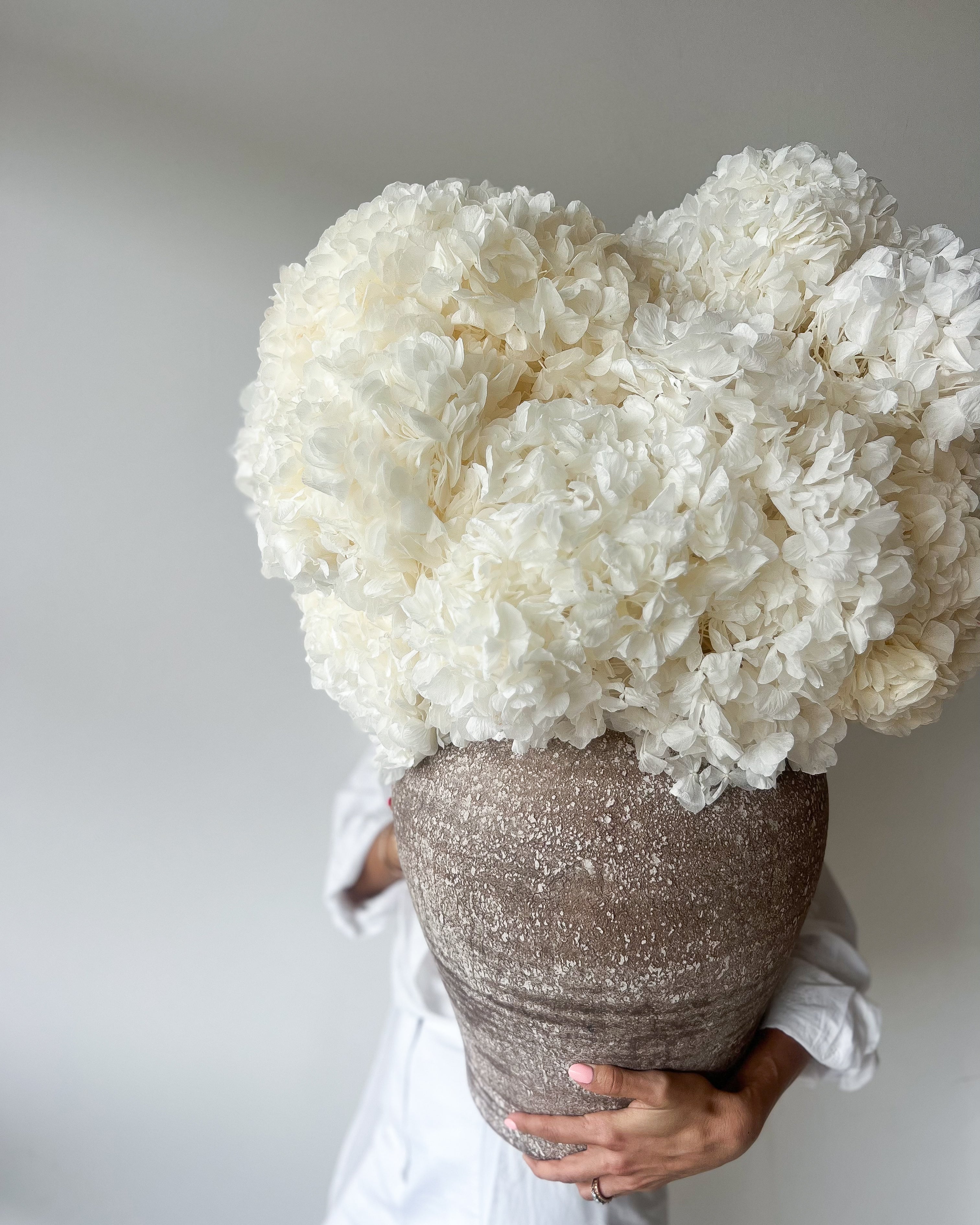 ATHENA – The Palmier