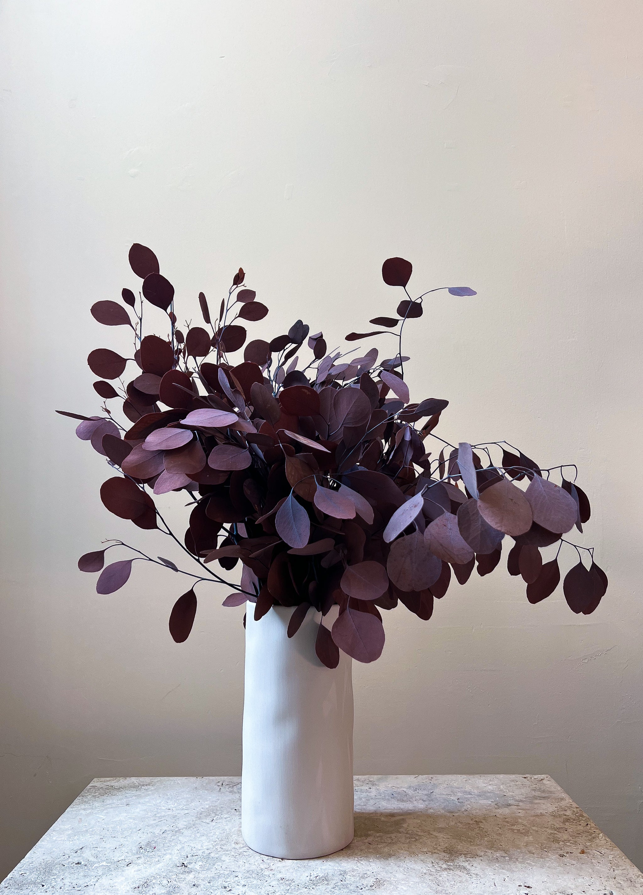 PRESERVED POLYGUM | DEEP BURGUNDY – The Palmier